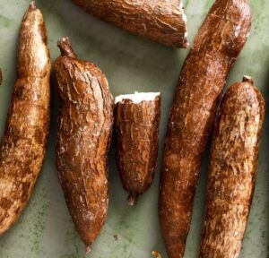 Cassava - My Local Tuckerbox